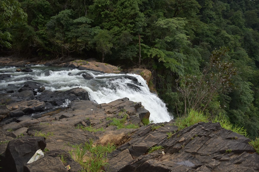 Kerala Vision 2047: A Mountain Corridor of Prosperity for Bison Valley ...