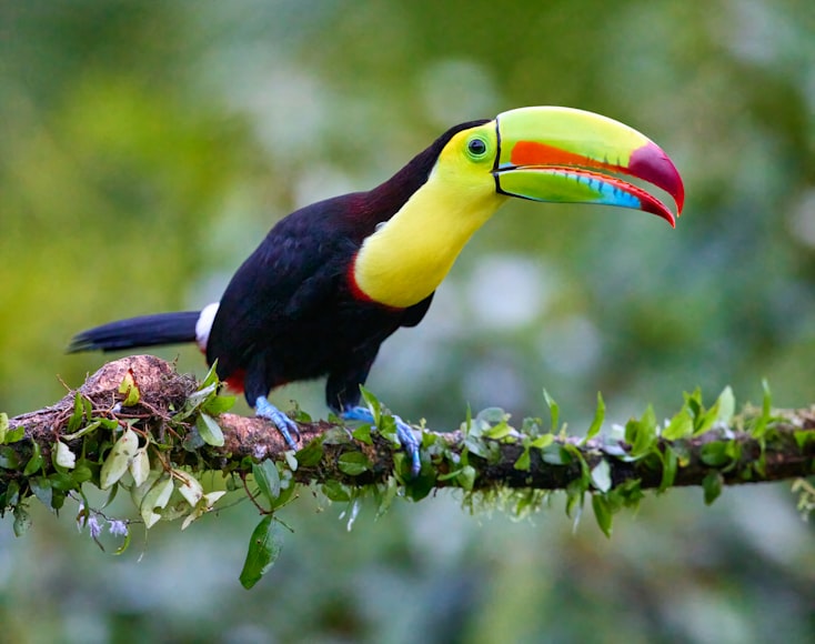 Kerala Vision 2047: A Cultural and Ecological Future Built Around ...